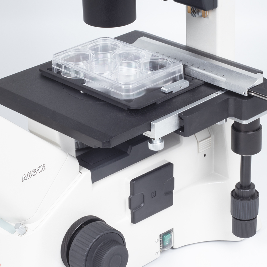 AE31 – Carlos Chalimoniuk